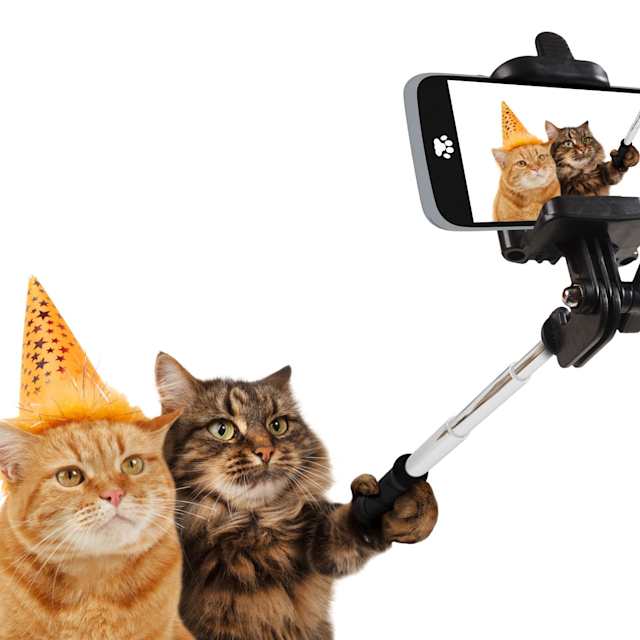 ¿Maddie o Mackenzie? ¿A quién de ellas te pareces como herman@?