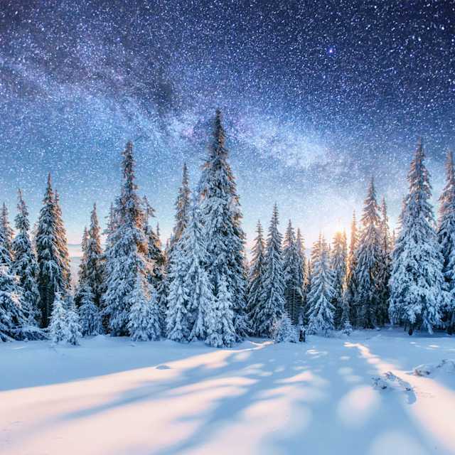 What I Am Number Four Character are you?