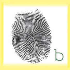 loop fingerprint example