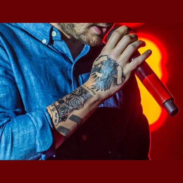 liam payne hands