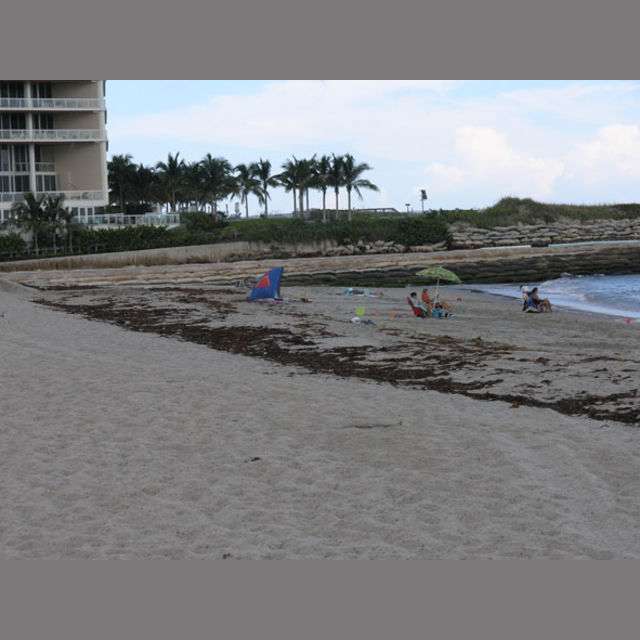 Favorite Places to Visit in Boca Raton