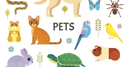 ¿Cuál es tu mascota perfecta?