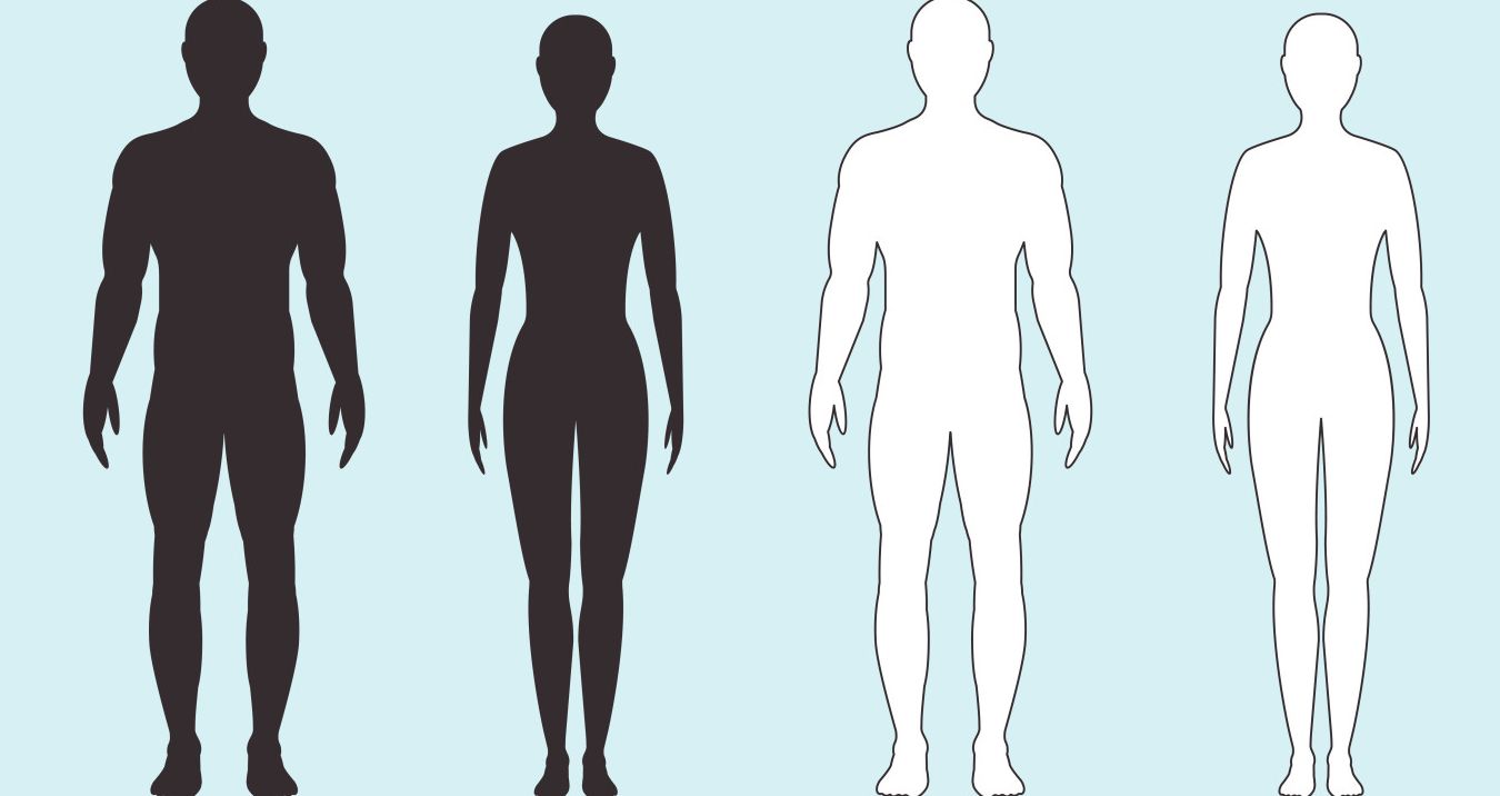 ¿Sabes todo sobre anatomía humana?