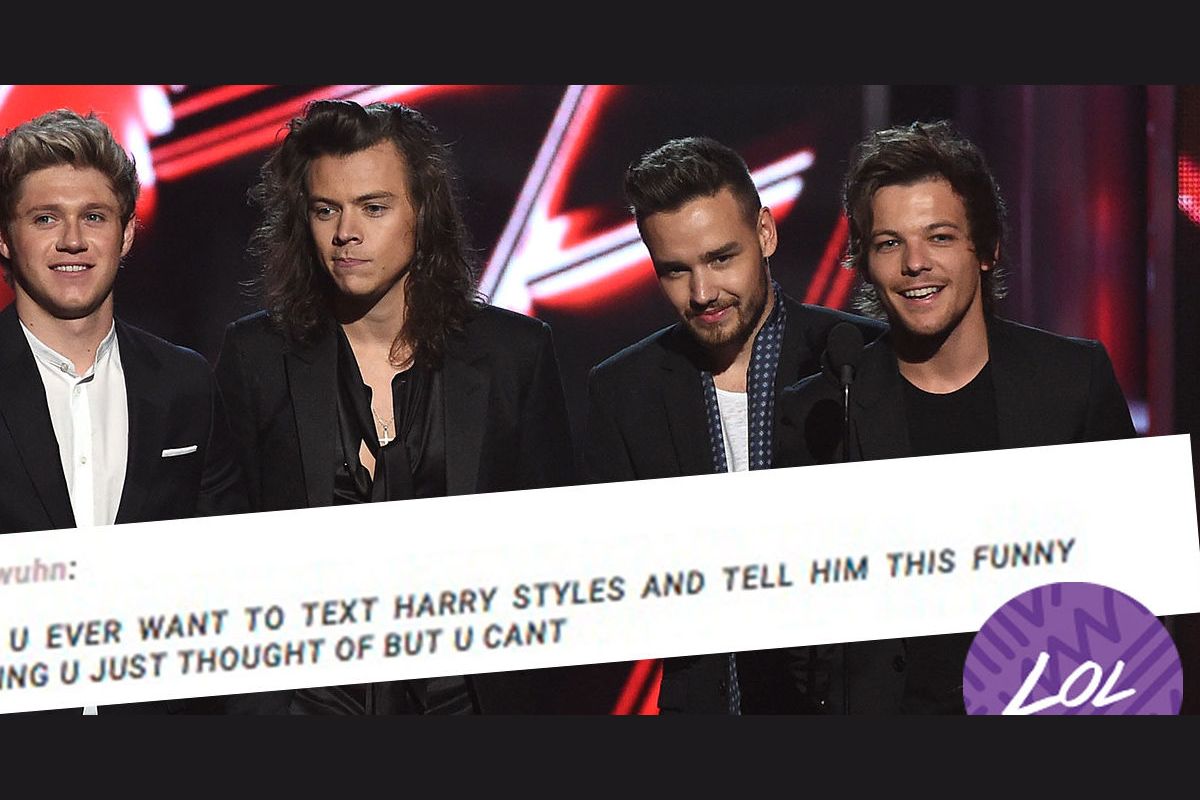 QUIZ: Which One Direction Tumblr Text Post Accurately Sums Up Your Life?