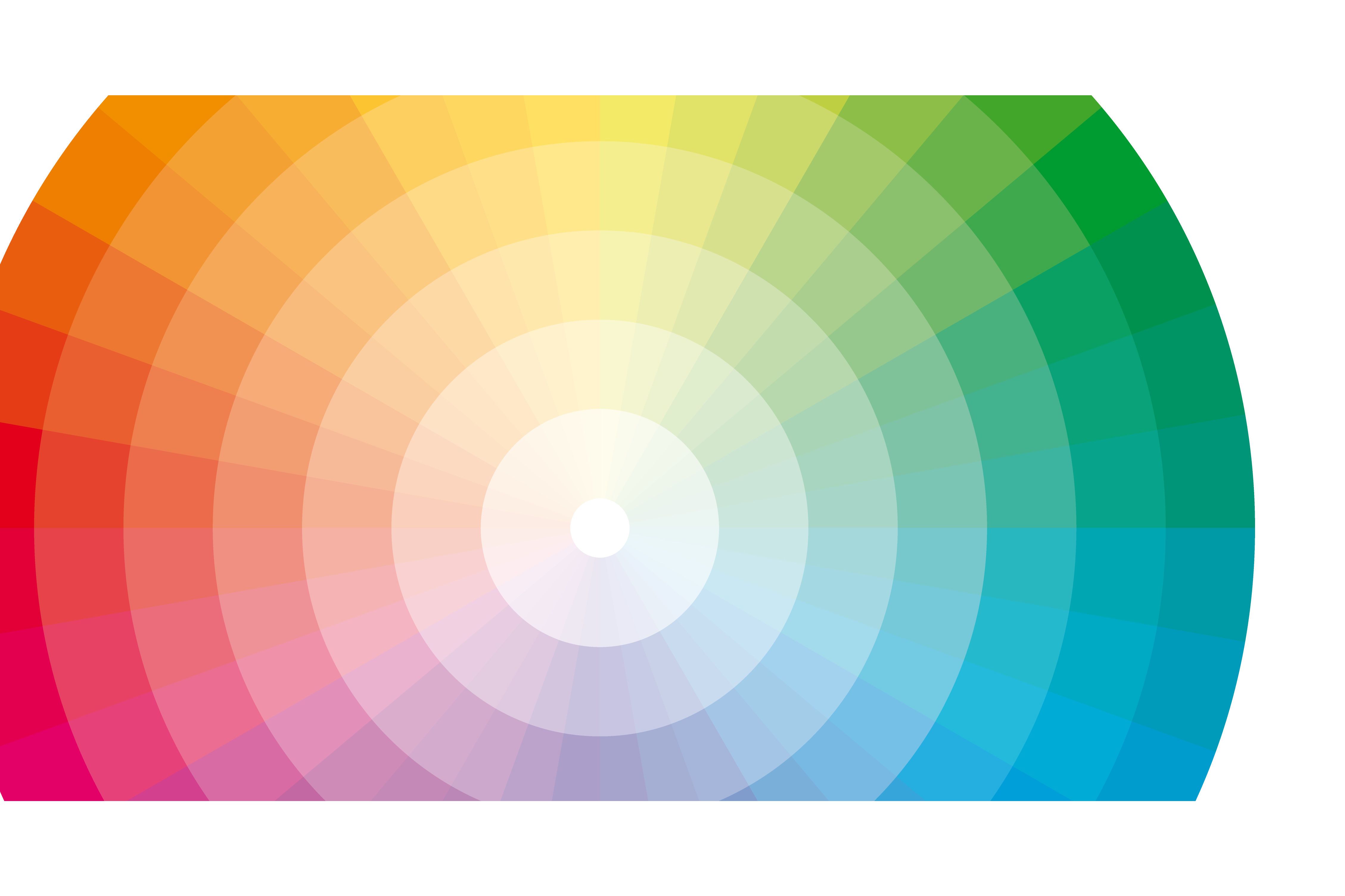 What's Your Favorite Color?