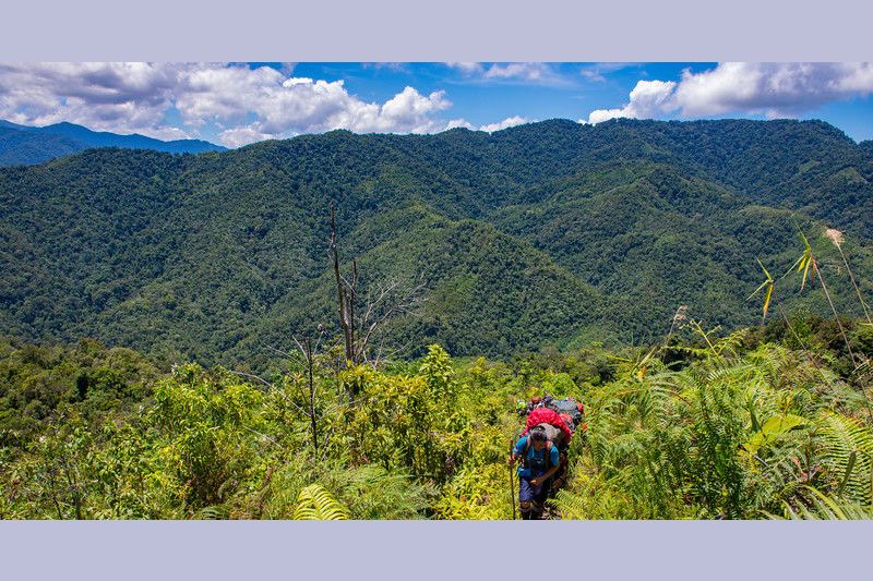 Which Raleigh Expedition should you choose?