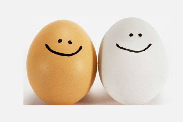 Juega y descubre qué tanto sabes sobre el huevo