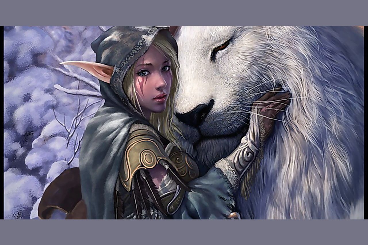 What Type of Elf are You?