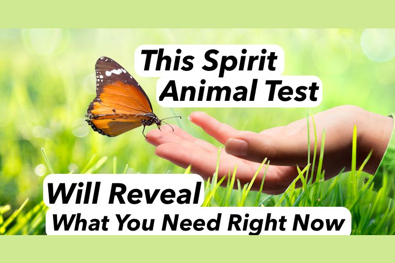 This Spirit Animal Test Will Reveal What Kind Of Self Care You Need