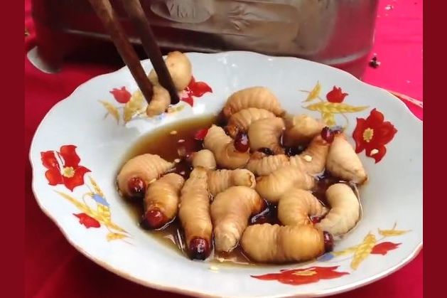 Las comidas más raras del mundo