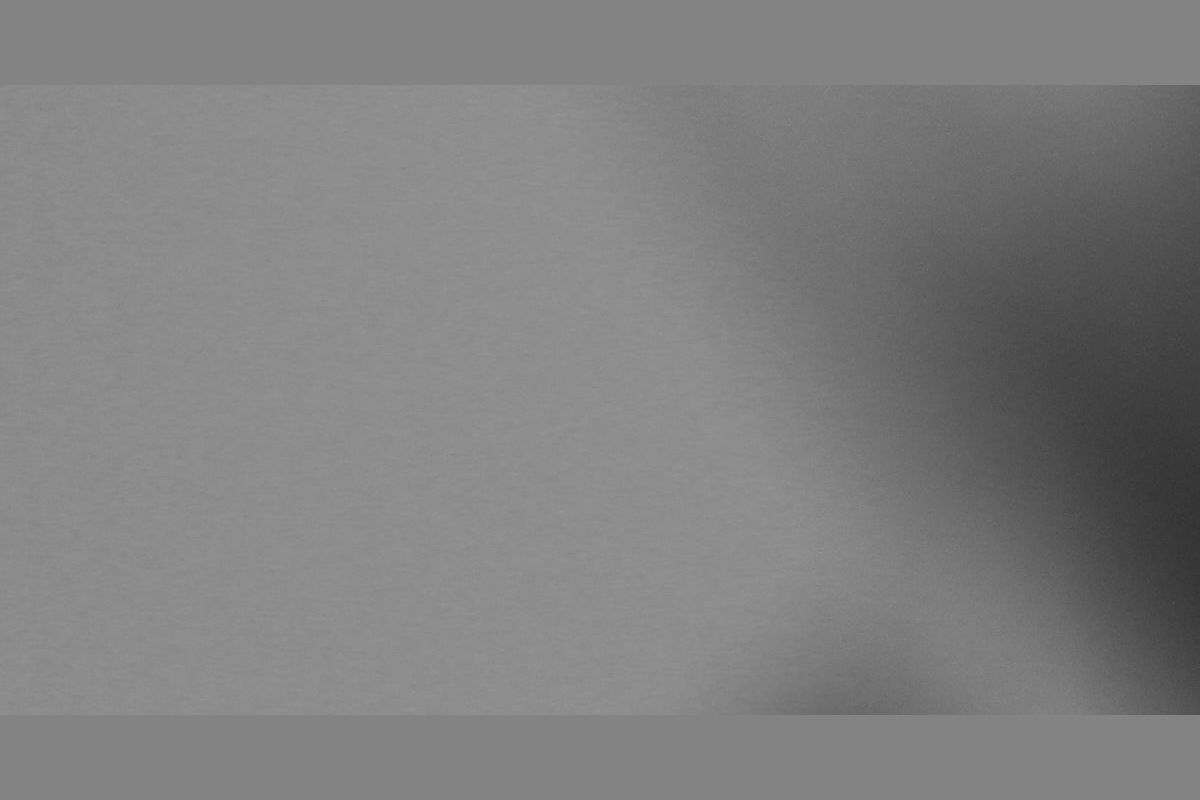 The Recognition of Sign Languages