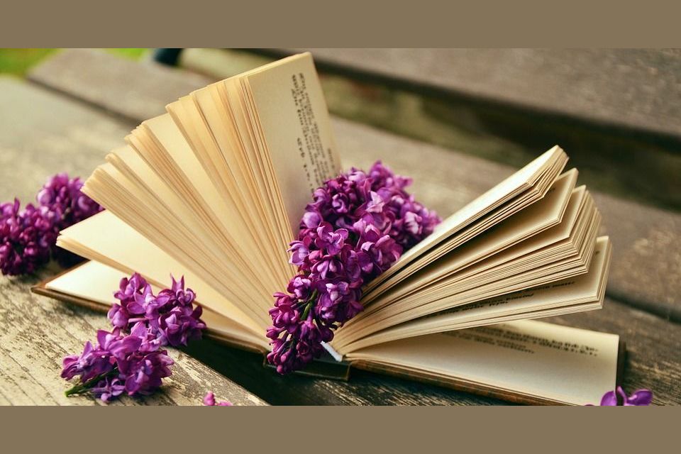 Which Book Should You Read?