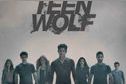 Who's Your 'Teen Wolf' Bae?