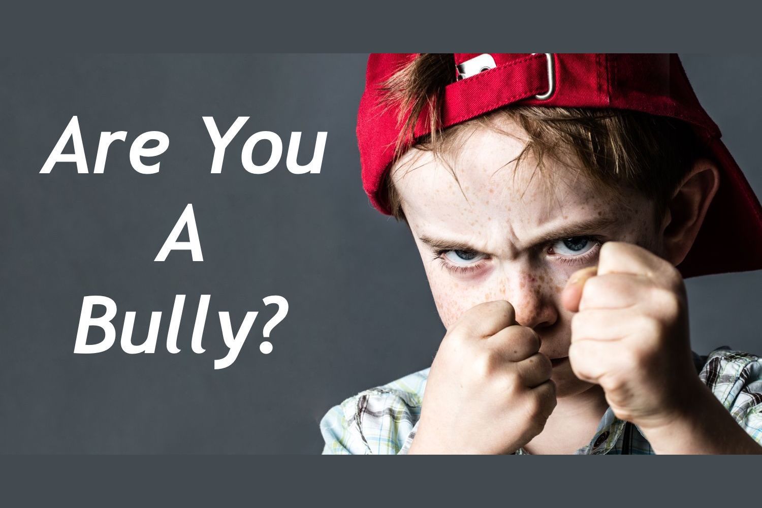 Are You A Bully?