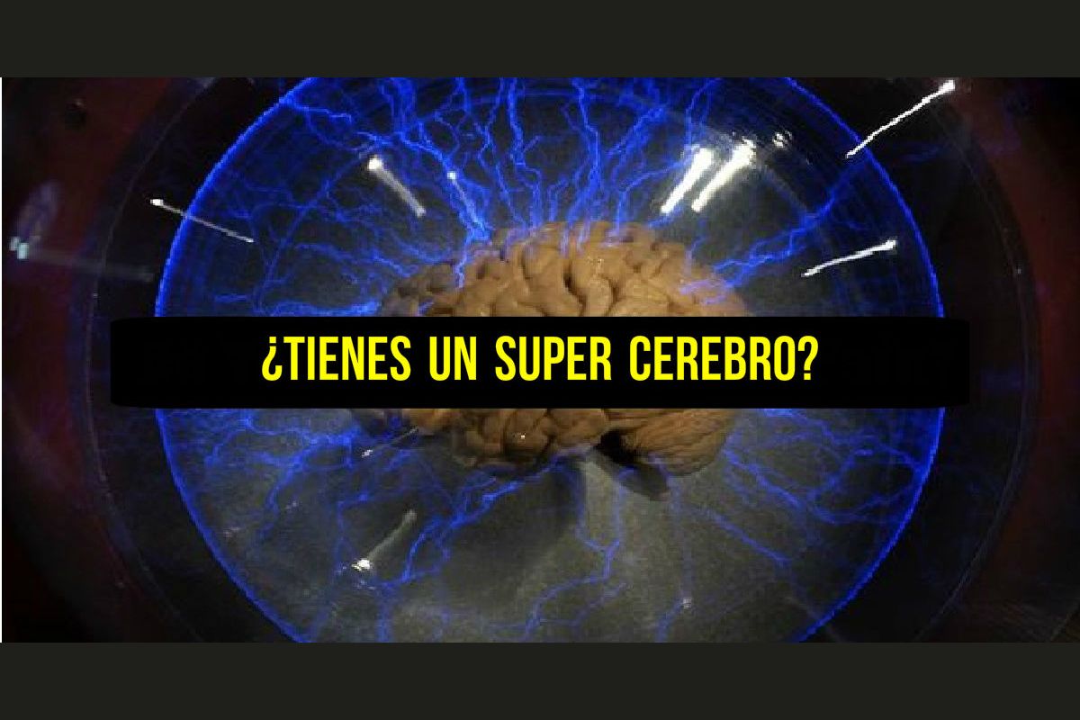 ¿Tienes un super cerebro?