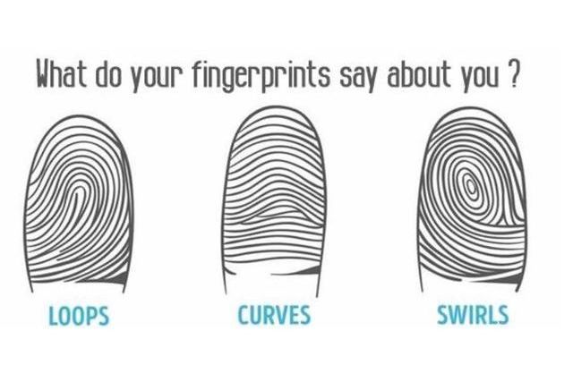 This One Picture Pretty Much Sums Up Everything You Need To Know About ...