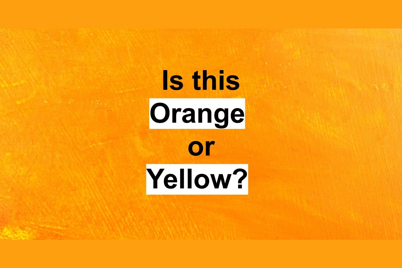 This Color Test Will Determine What Type Of Intelligence You Have