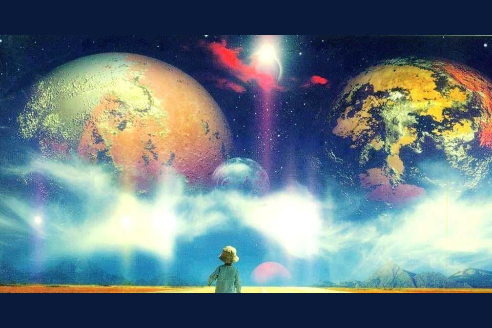 What Were You in a Past Life?