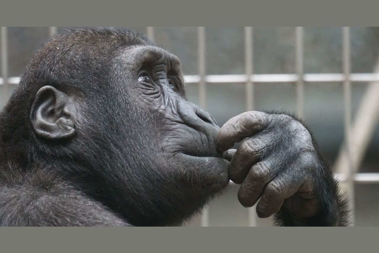 Kişilik Renginizi Bulun!