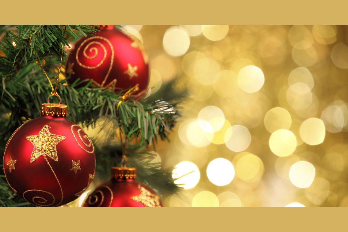 7 types d'arbres de Noël et ce qu'ils disent de nous