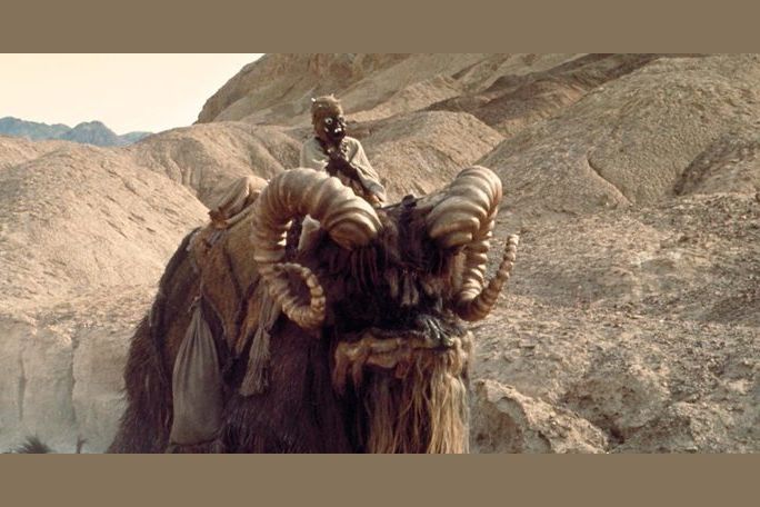 Which Star Wars Monster Is Best?