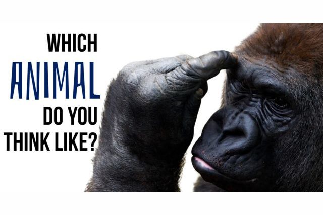 Which Animal Do You Think, Feel And Act Most Like?