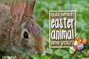QUIZ: What Easter Animal Are You?