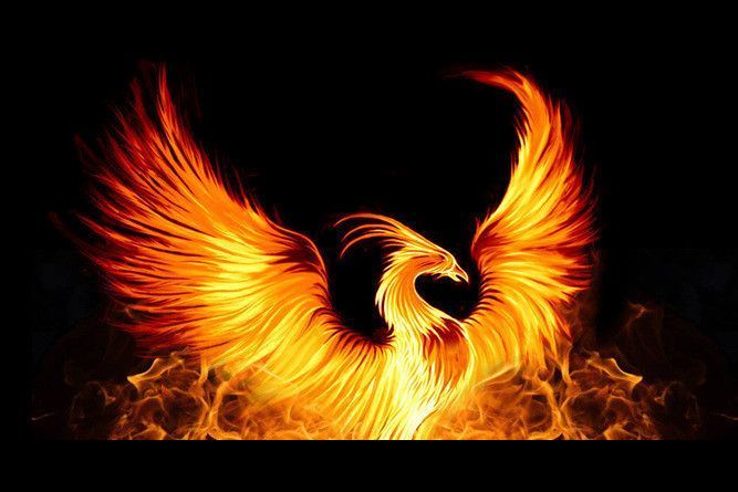 What kind of phoenix are you