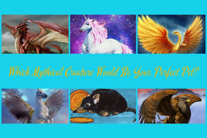 Which Mythical Creature Would Be Your Perfect Pet?
