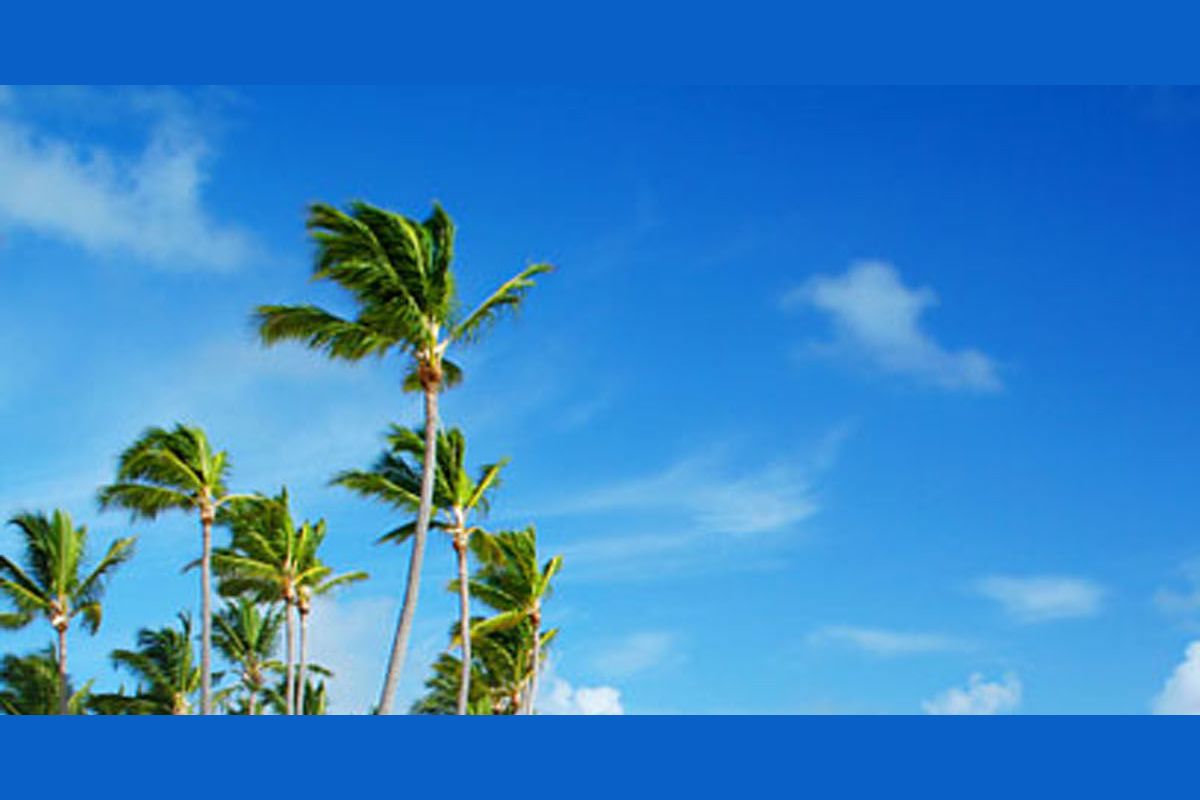 What's Your Ultimate Spring Break Destination?