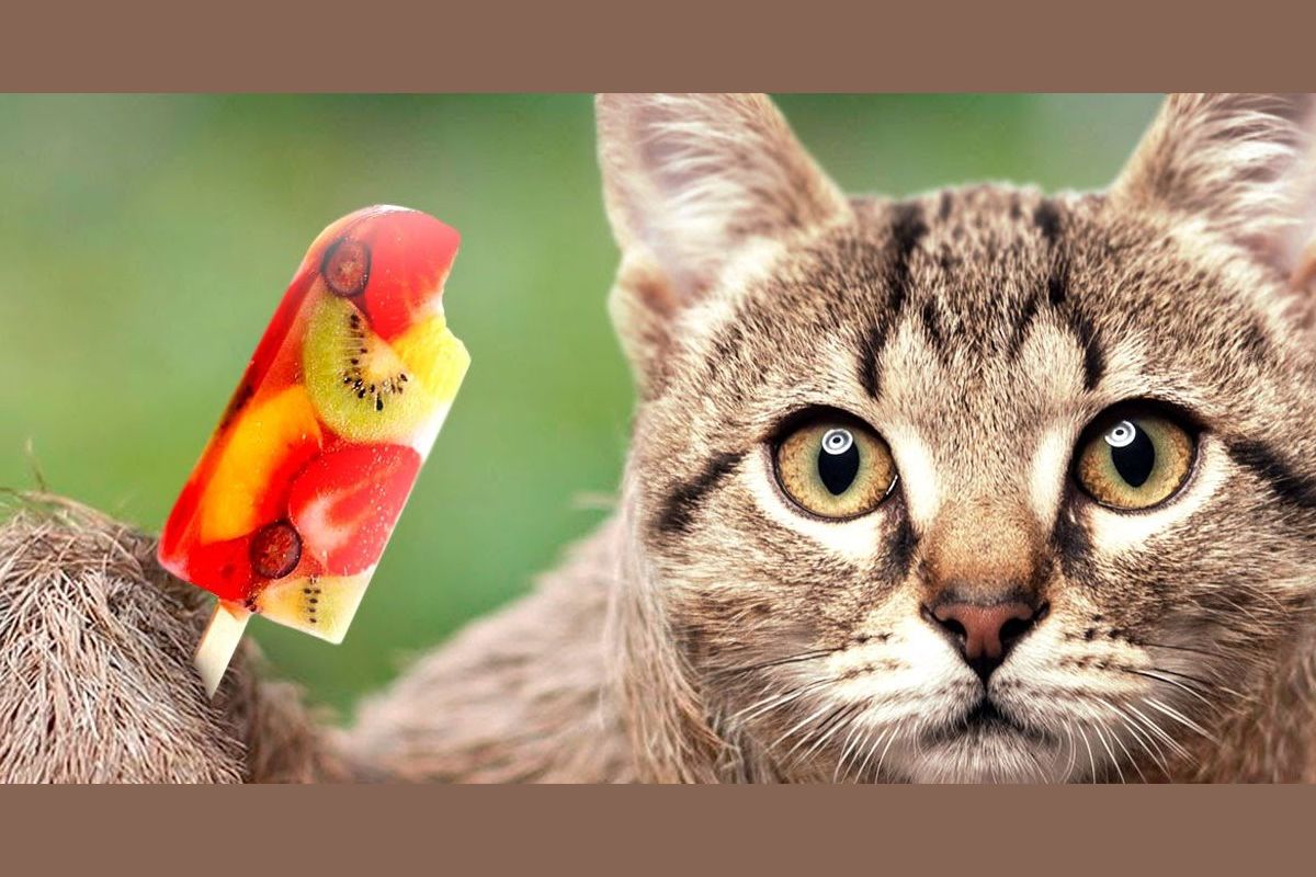 What Type Of Animal Are YOU Most Like what-type-of-animal-are-you-most-like