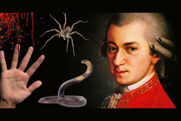 Tell us which instrument you play and we’ll reveal your biggest fear