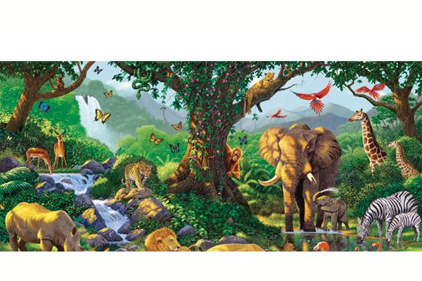 What Animal Would You Be?