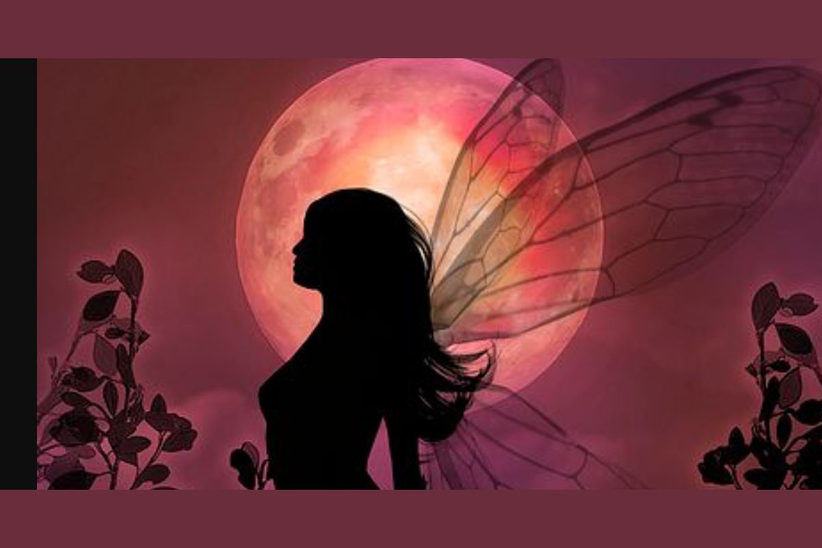 What type of Fairy are you?