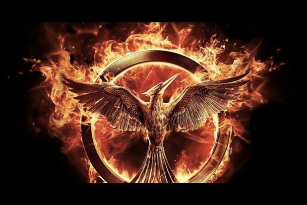 Which Tribute of the 74th Hunger Games are You?
