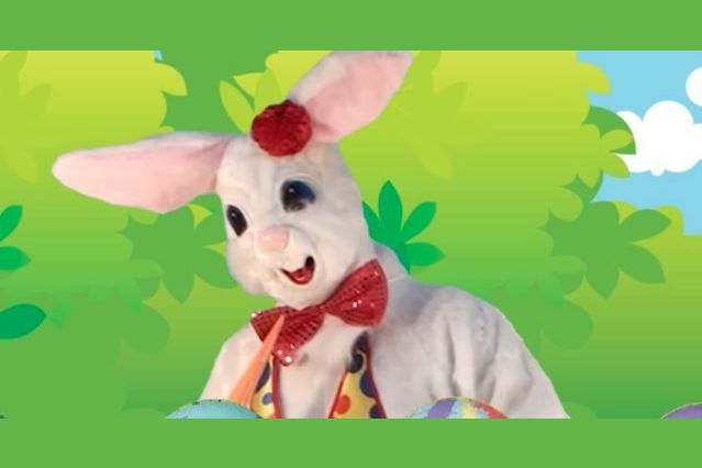 The Rabbit Quiz - How Well Do YOU Know Rabbits?