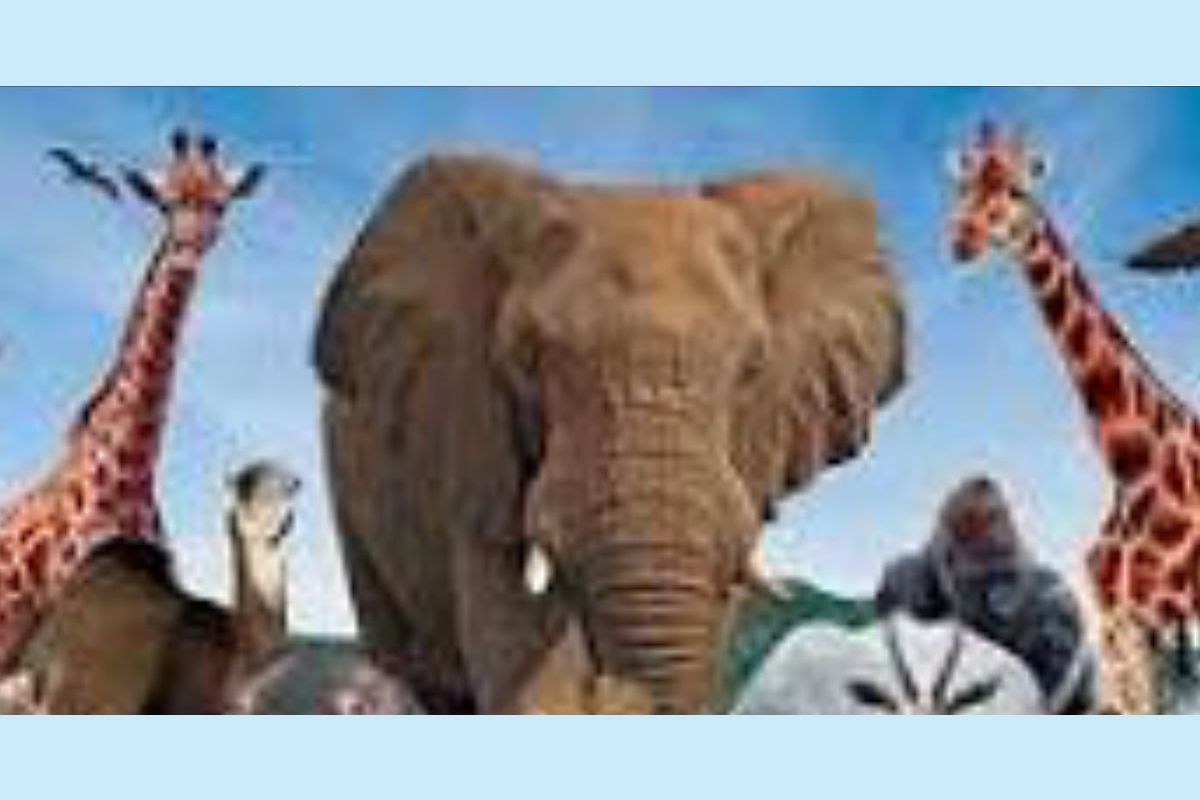 What animal should inhabit your soul?