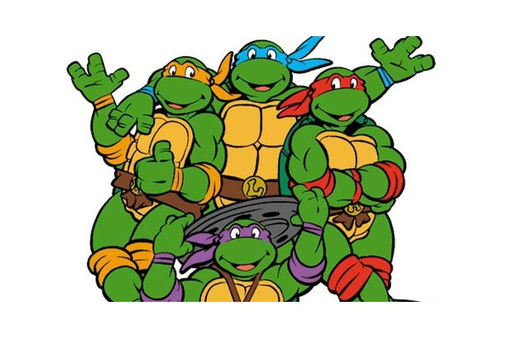 Which turtle generation are you?