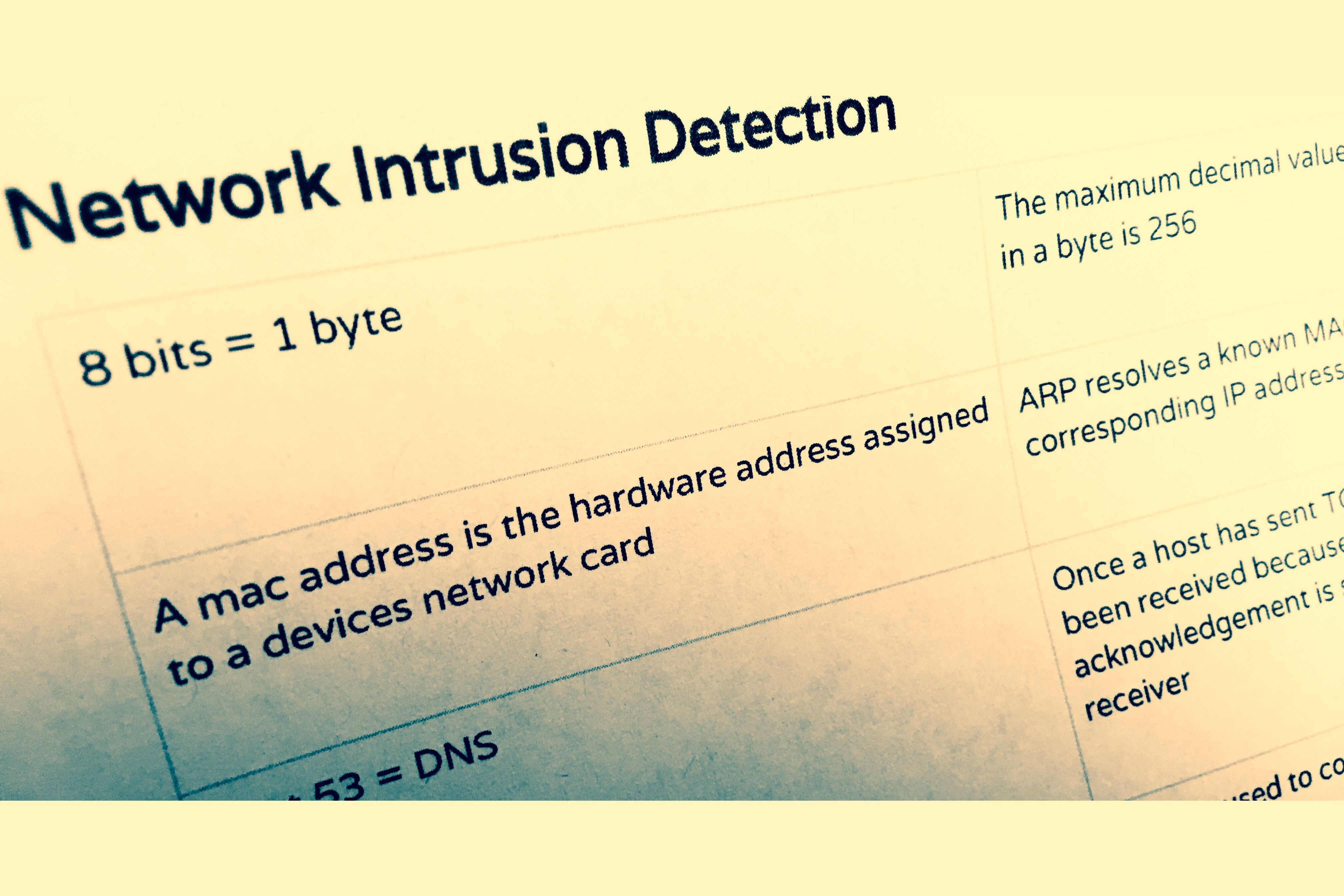 Network Intrusion Detection