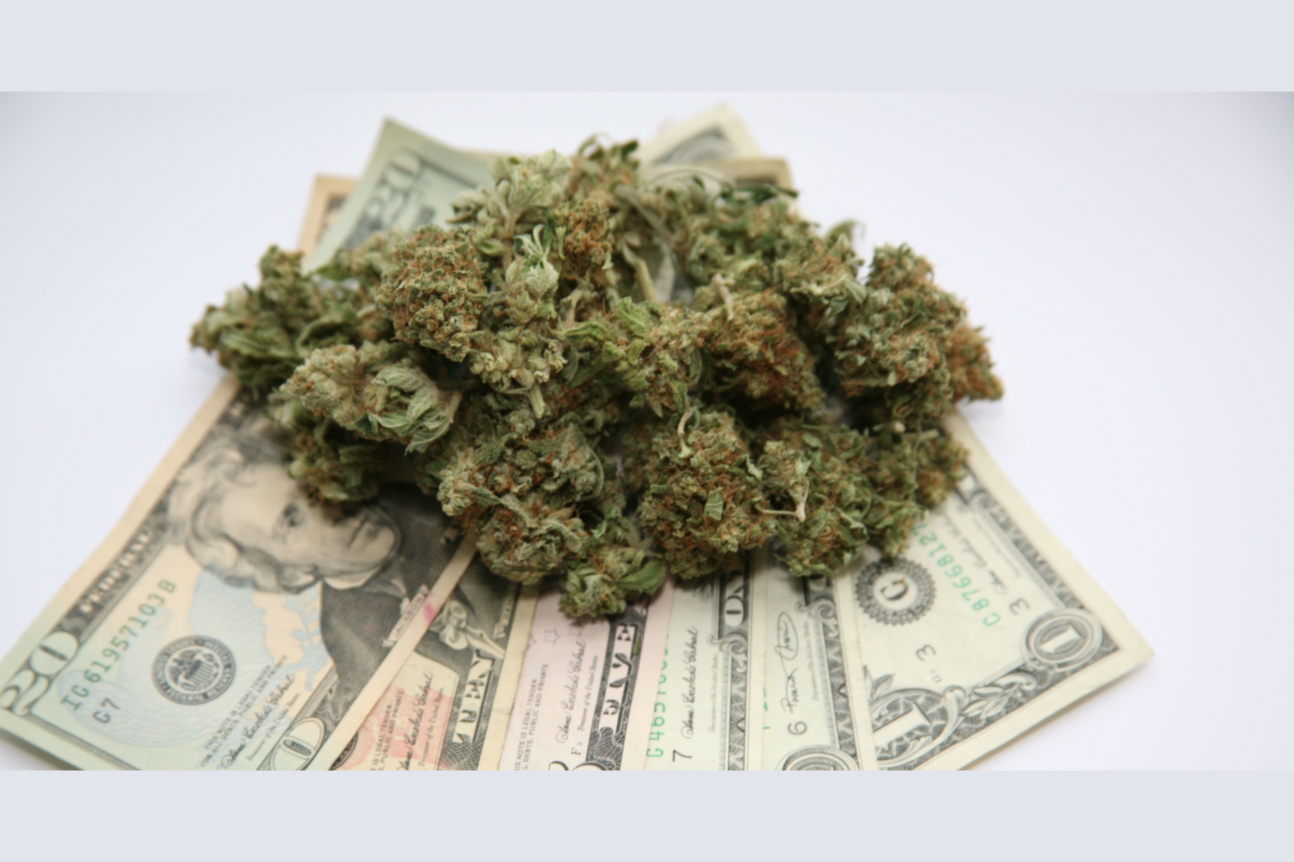 How Much Do You Spend Per Year On Pot how-much-do-you-spend-per-year-on-pot