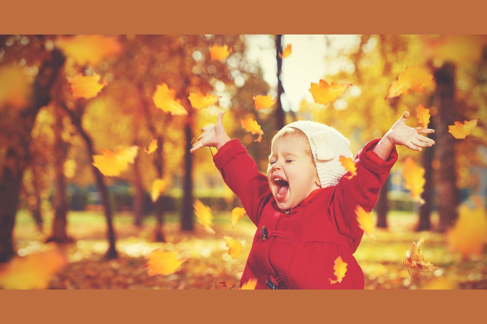 Which Fall Activity Should You Do This Weekend