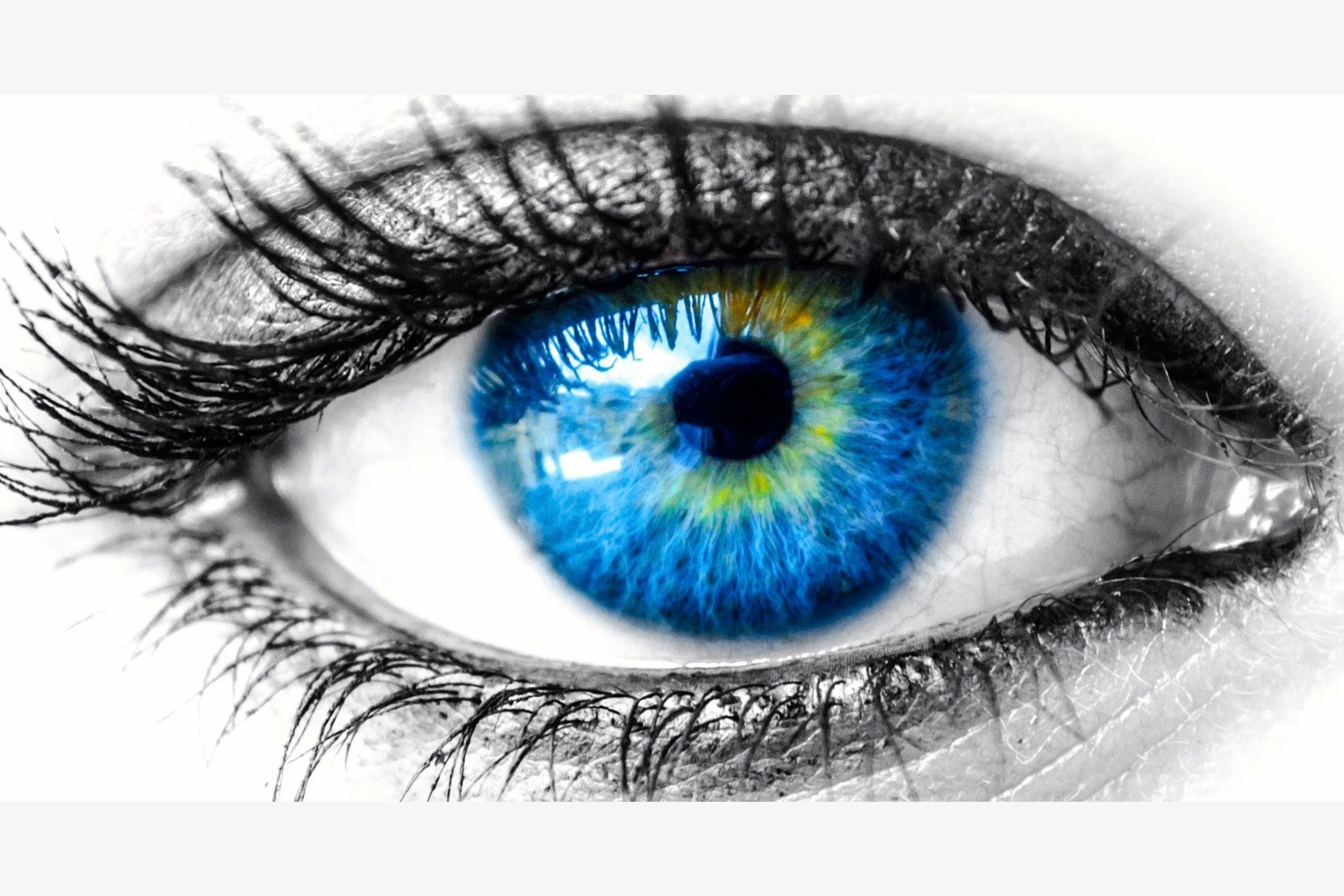 Can I guess your eye color in just four questions?