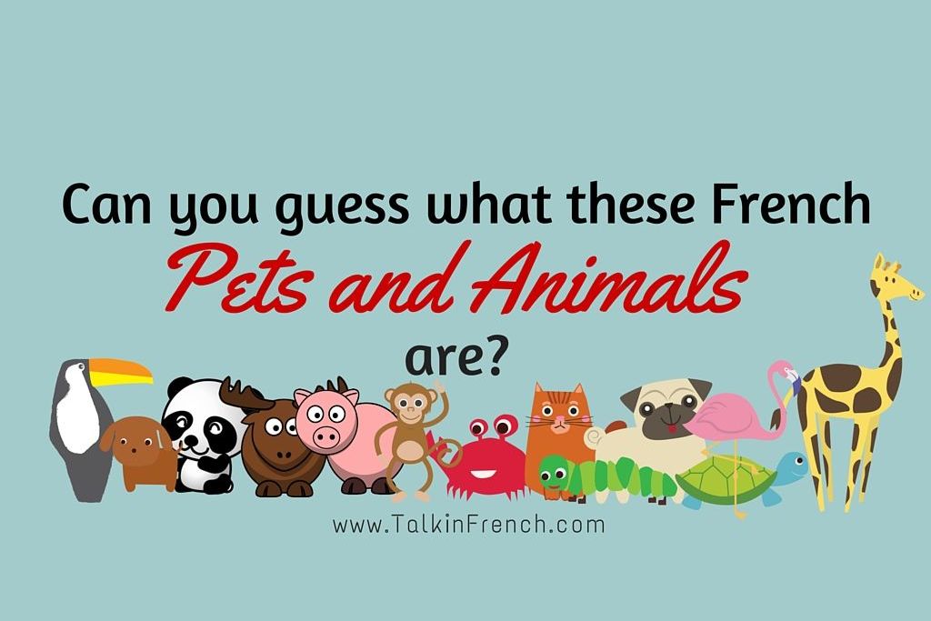 Can you guess what these French Pets and Animals are?