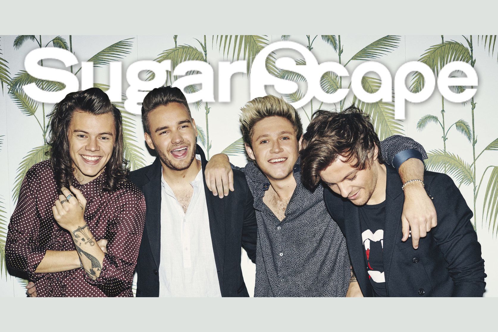 How far into One Direction's Made in the A.M. can you get before crying ...