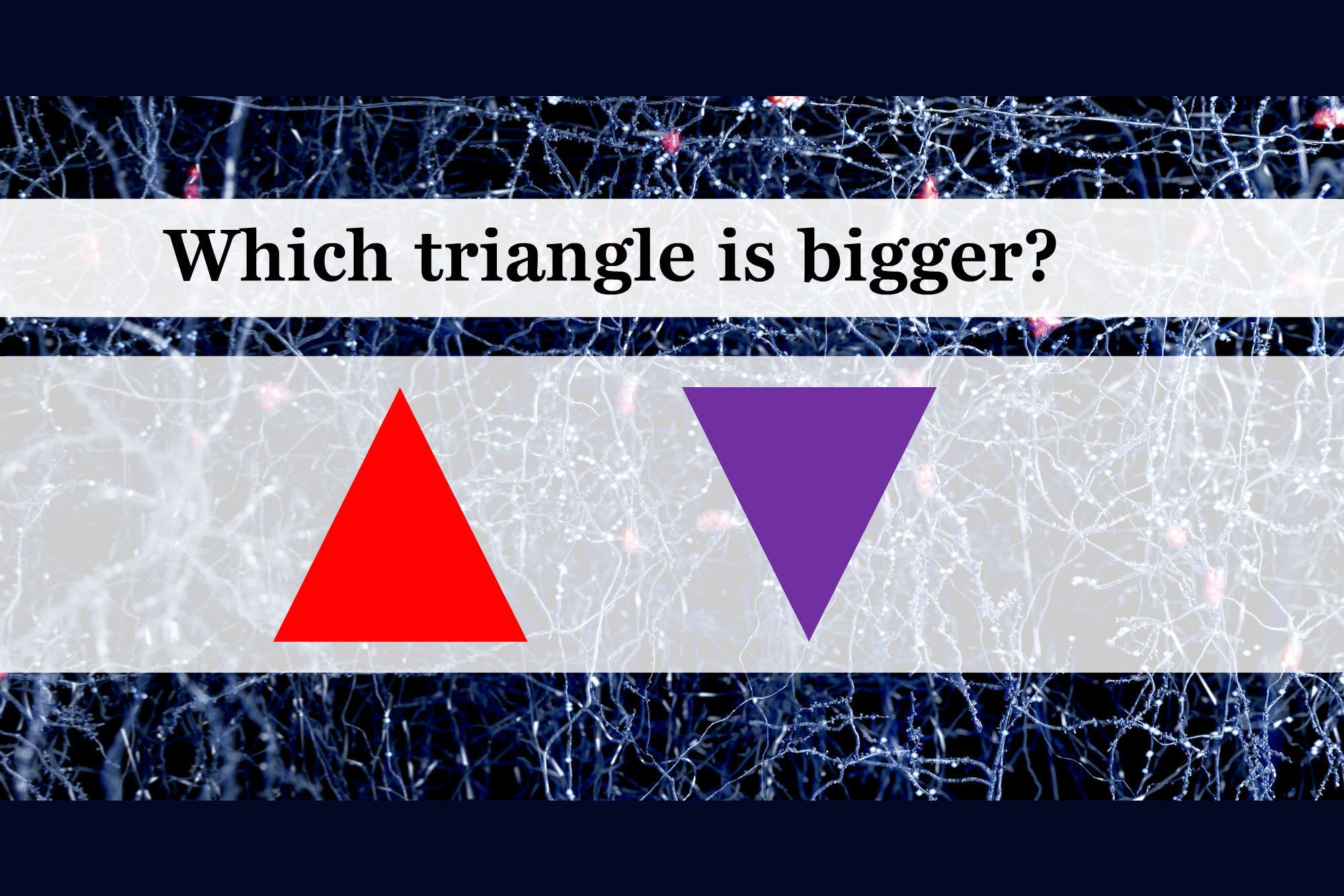 Most Humans Use Only 10 Of Their Brain What Percentage Do You Use 