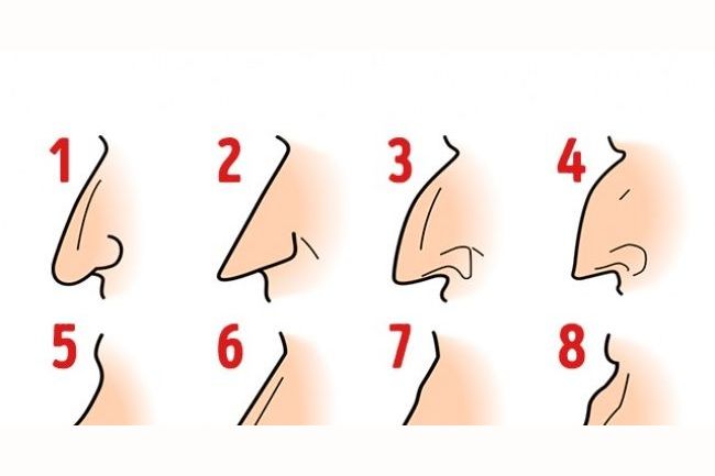 Select Your Nose Shape and We’ll Tell You About Your Personality