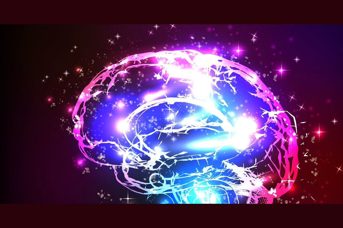 Personality Test! Brain, hormones, science!