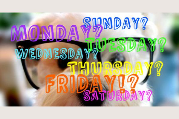 Which Day of the Week Are You?