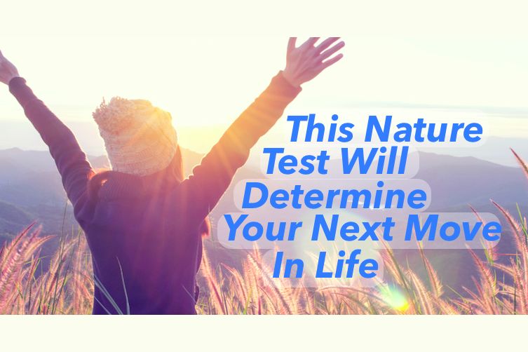 This Nature Test Will Determine Your Next Move In Life