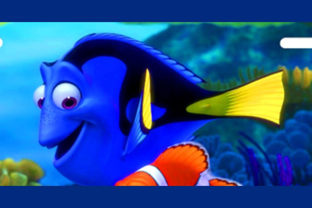 Are you nemo or dory
